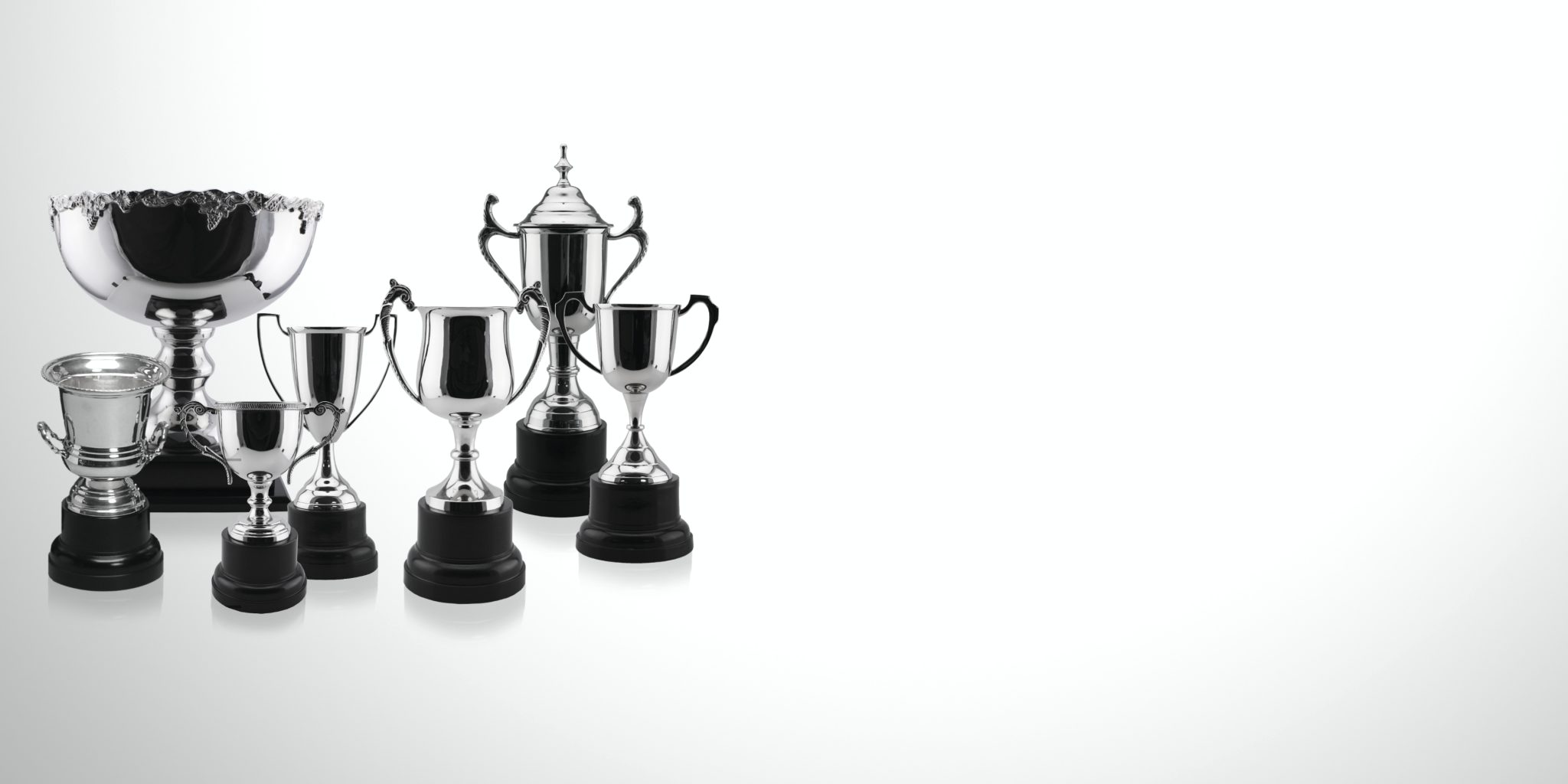 Tilt Wholesale - Tilt NZ